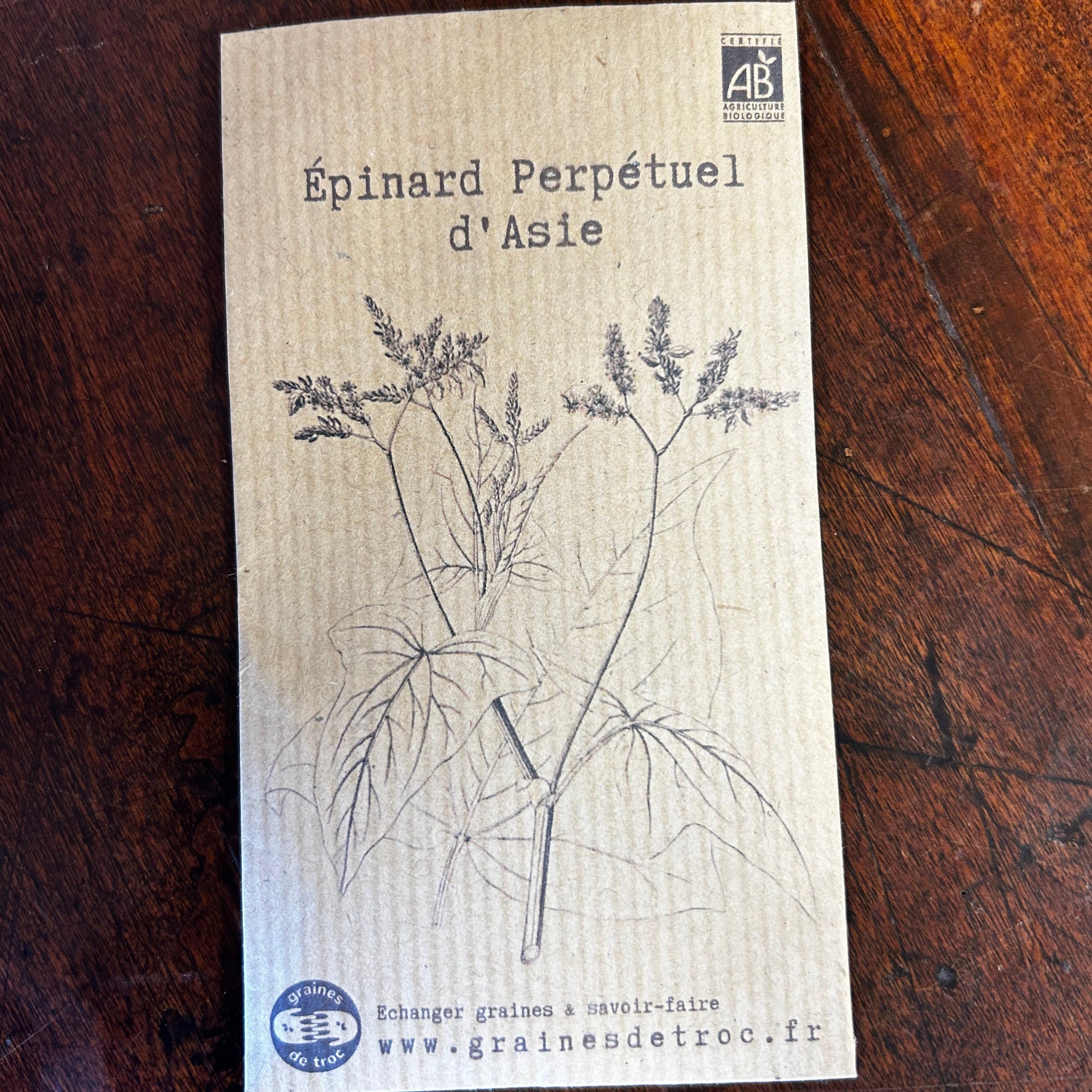 Epinard Perpétuel d'Asie – La boutique Graines de Troc
